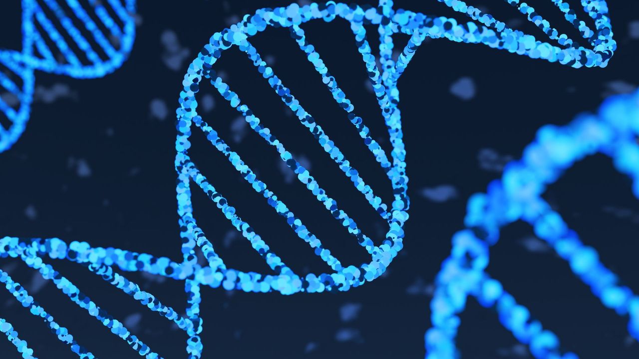 Pfizer infringed haemophilia therapy patent, says court | Americas ...